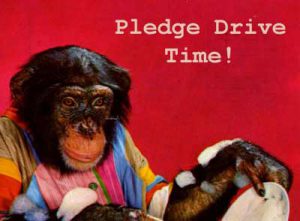 Pledge Drive: 5/1 - 5/15 (Inclusive) | Maximum Fun
