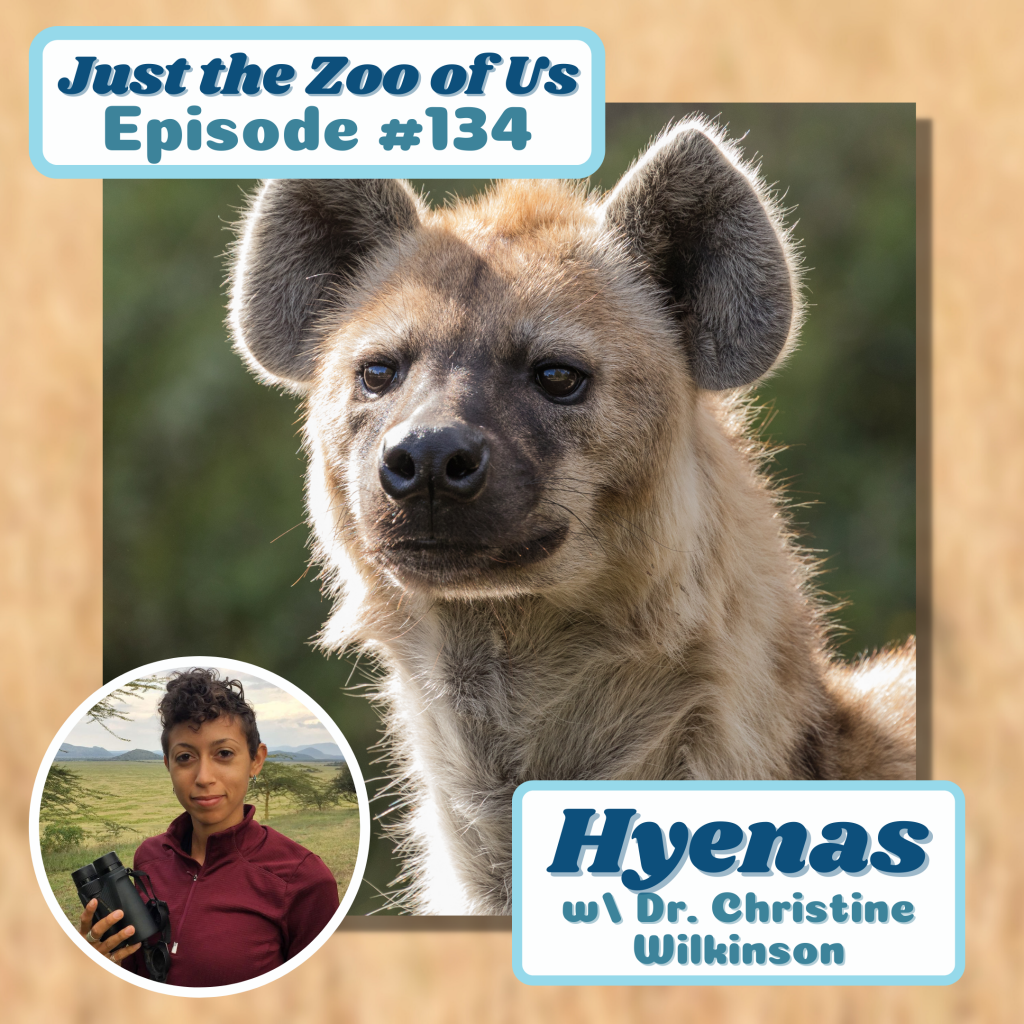 Episodes | Maximum Fun