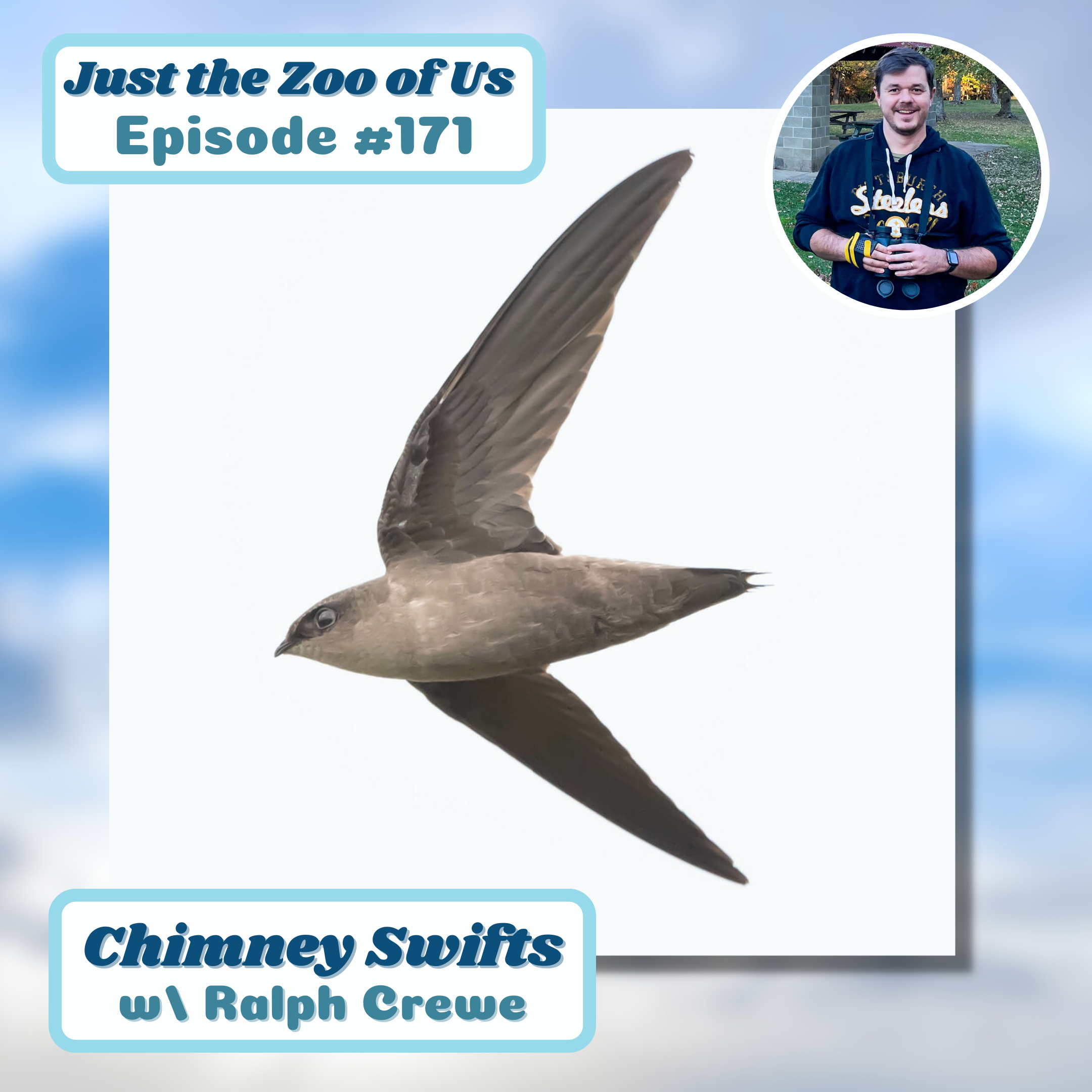171: Chimney Swifts w/ Ralph Crewe! | Maximum Fun