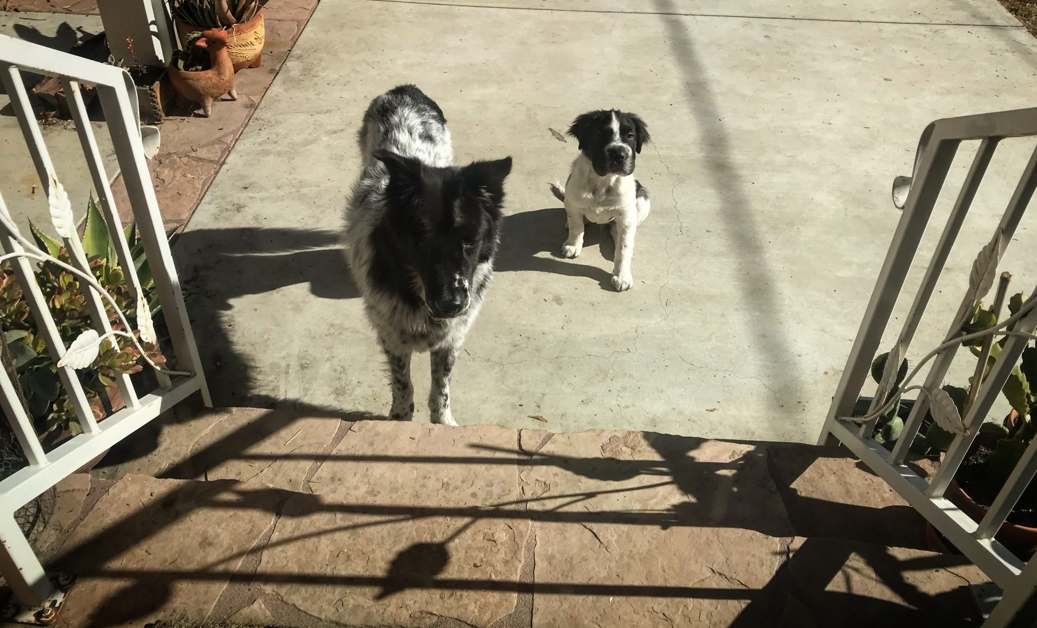 Harry Chaskin, Ziggy, Ernie, and Boo | Maximum Fun