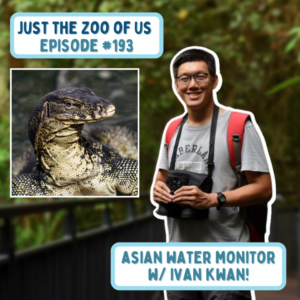 Just the Zoo of Us | Maximum Fun