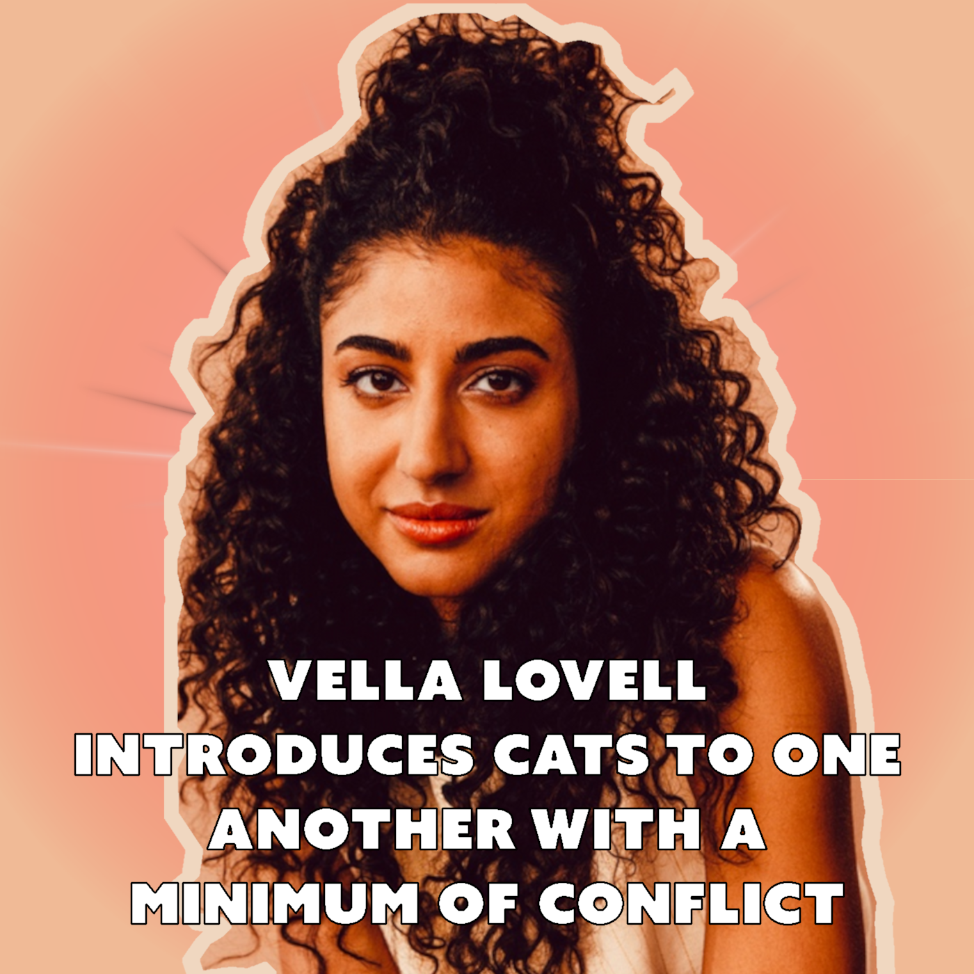 Vella Lovell Slowly and Carefully Introduces a New Cat to an Old Cat ...